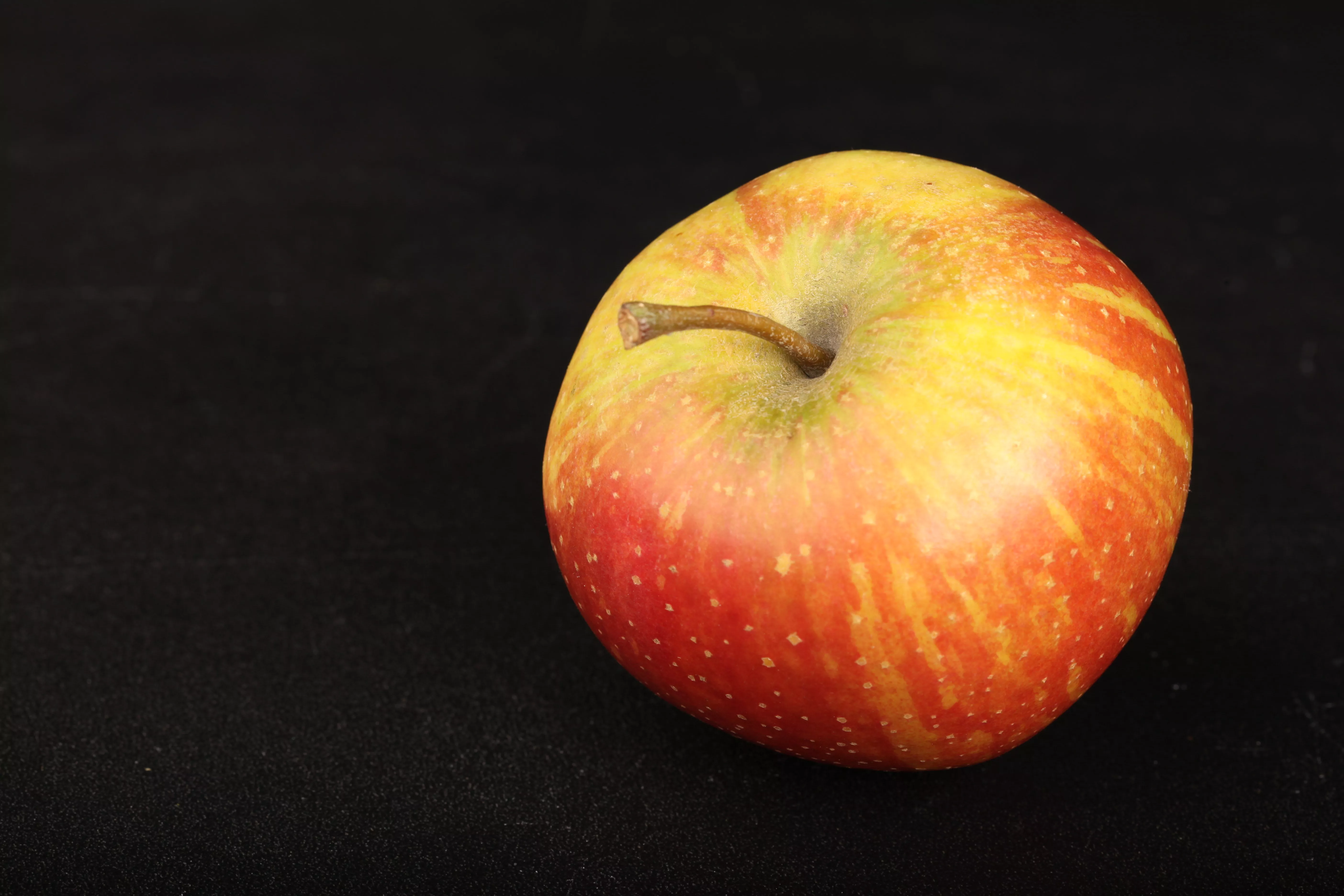 Malus domestica 'Rubinette'®, Herbstapfel 'Rubinette'®