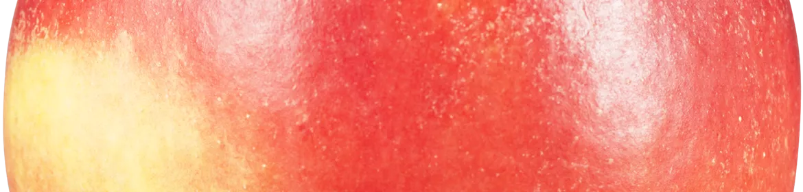 Malus domestica 'Elstar', Apfel 'Elstar'